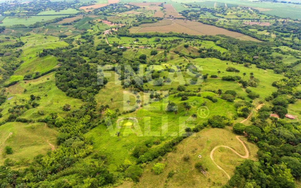 Obando, 120 plazas ganaderas - Fincas del Valle
